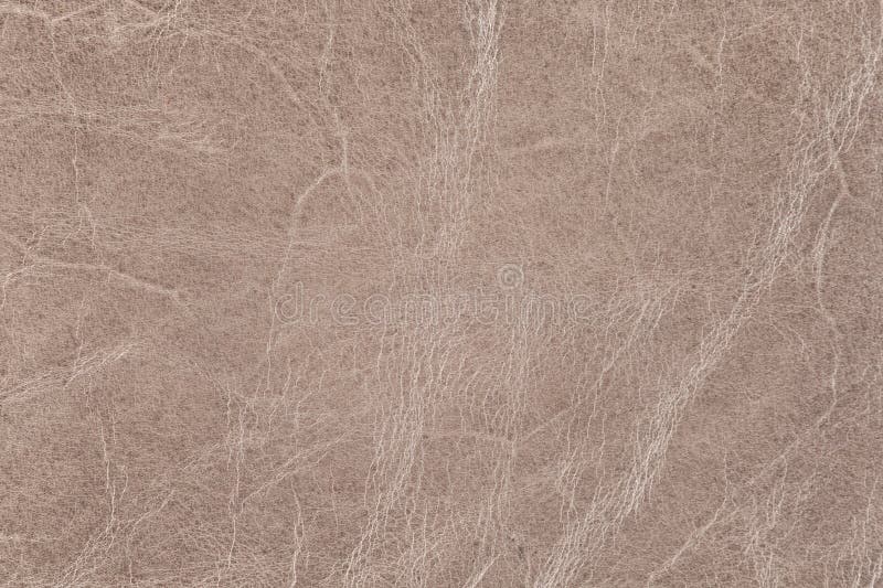 High Resolution Texture. Background. Skin. Stock Image - Image of ...