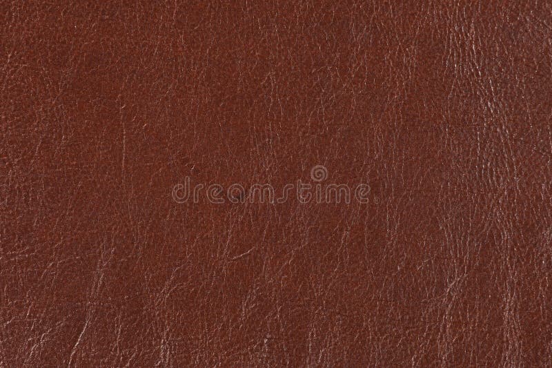 High Resolution Texture. Background. Skin. Stock Image - Image of ...