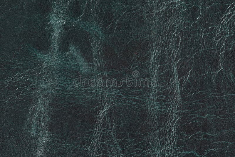 High Resolution Texture. Background. Skin. Stock Photo - Image of ...