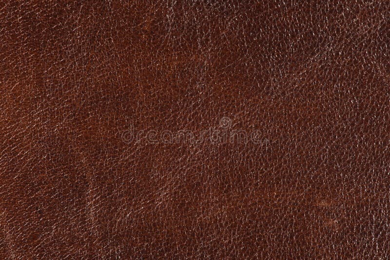 High Resolution Texture. Background. Skin Stock Photo - Image of ...