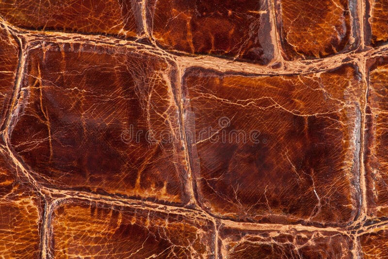 High resolution texture stock image. Image of high, closeup - 85036481