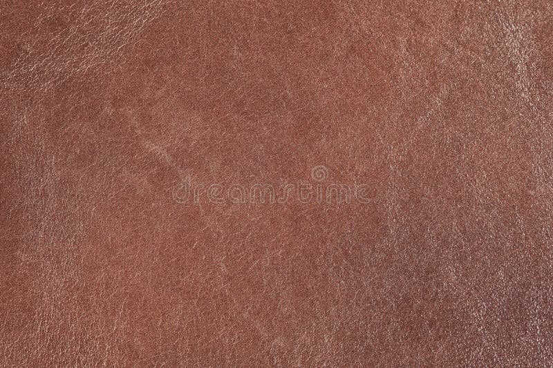 High Resolution Texture. Background. Skin. Stock Image - Image of ...