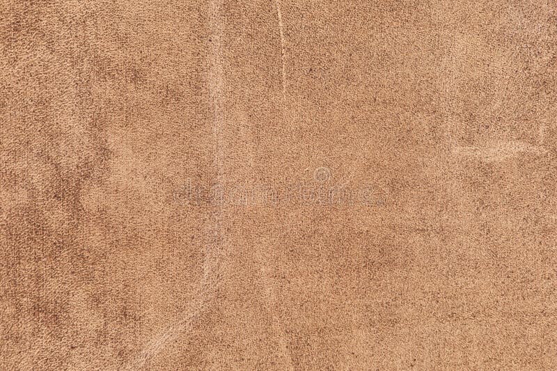 High Resolution Texture. Background. Skin. Stock Image - Image of ...