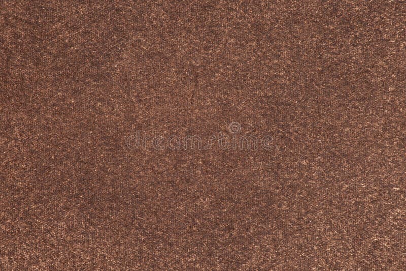 High Resolution Texture. Background. Skin Stock Photo - Image of ...