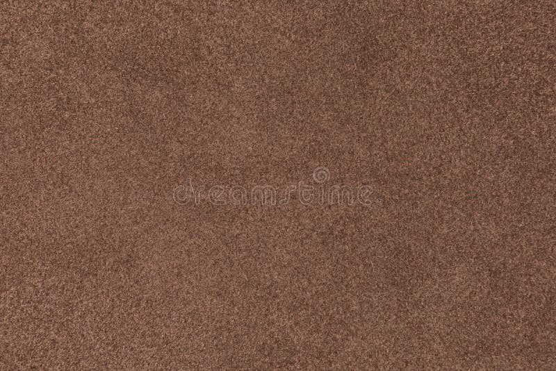 High Resolution Texture. Background. Skin. Stock Photo - Image of macro ...