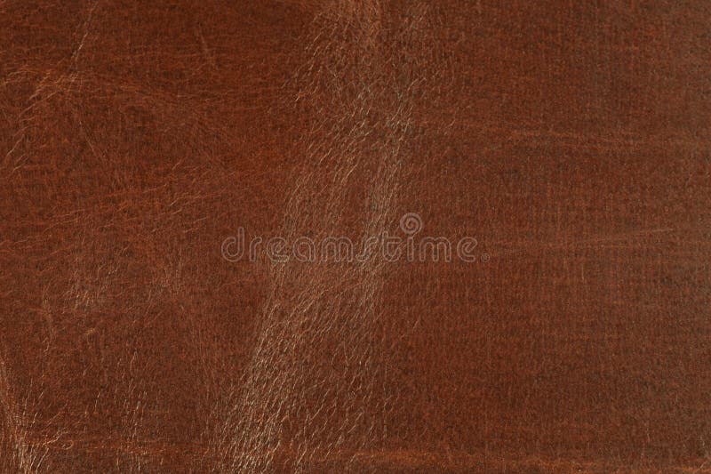 High Resolution Texture. Background. Skin. Stock Image - Image of wear ...