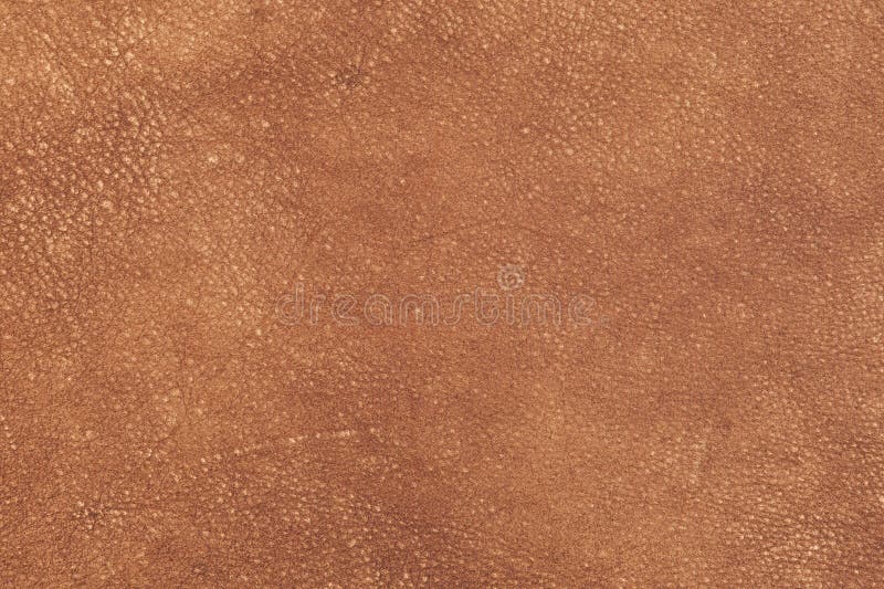 High Resolution Texture. Background. Skin. Stock Image - Image of ...