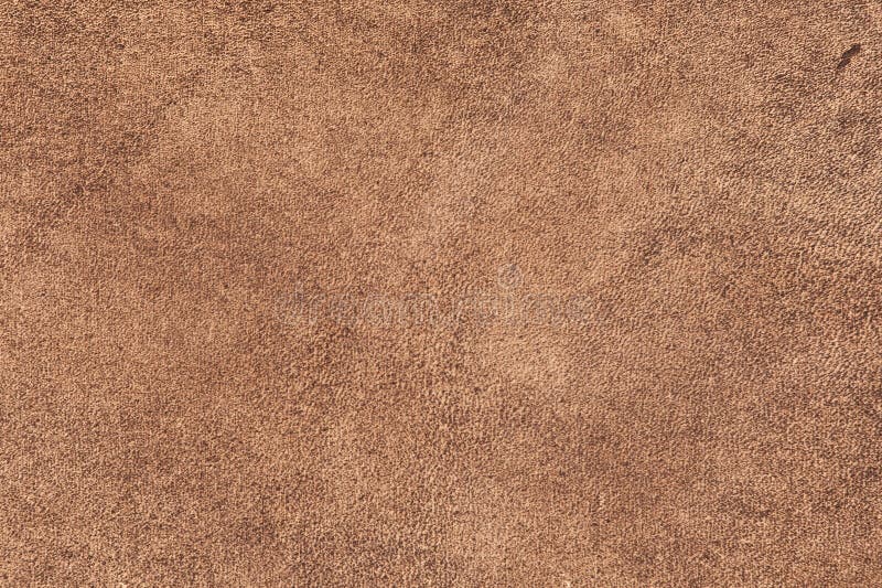 High Resolution Texture. Background. Skin. Stock Photo - Image of ...