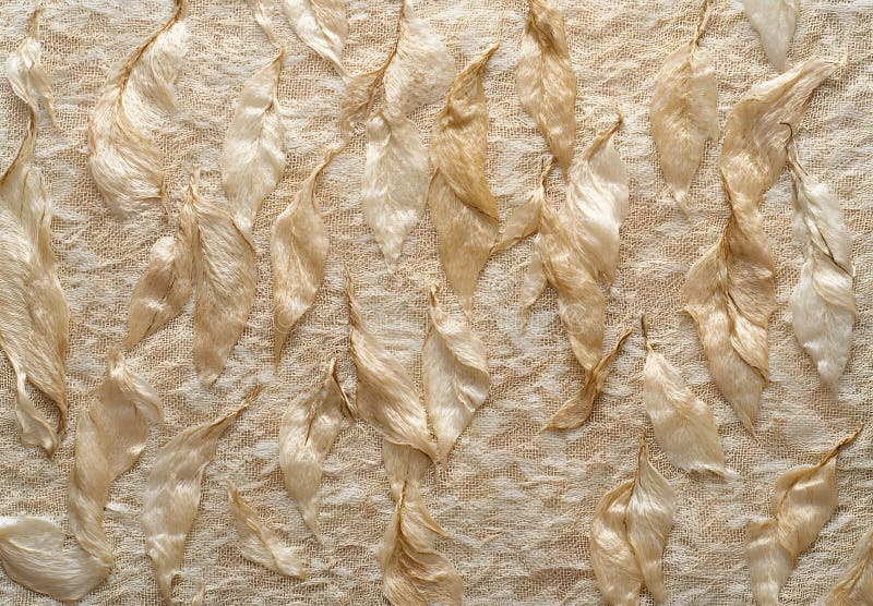 Woven Seaweed Fabric Texture for Design Stock Illustration ...