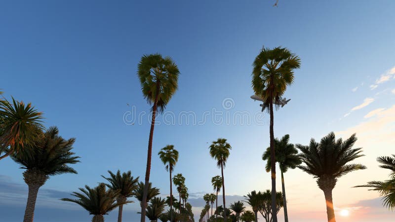 High-resolution Tourism Advertisement Video Template, Driving through ...