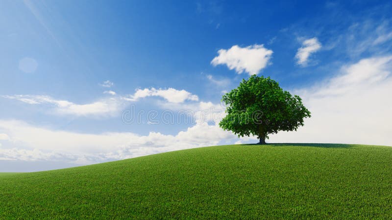 High Resolution. a Tree Standing Alone in a Lawn. 3d Rendering Stock ...