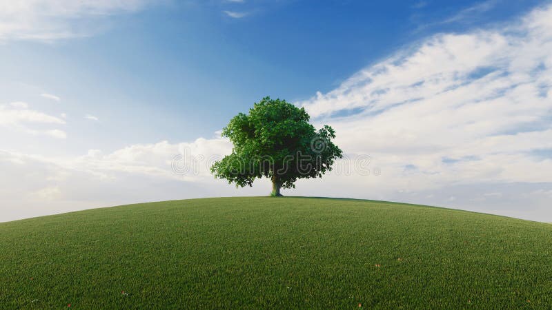 High Resolution. a Tree Standing Alone in a Lawn. 3d Rendering Stock ...