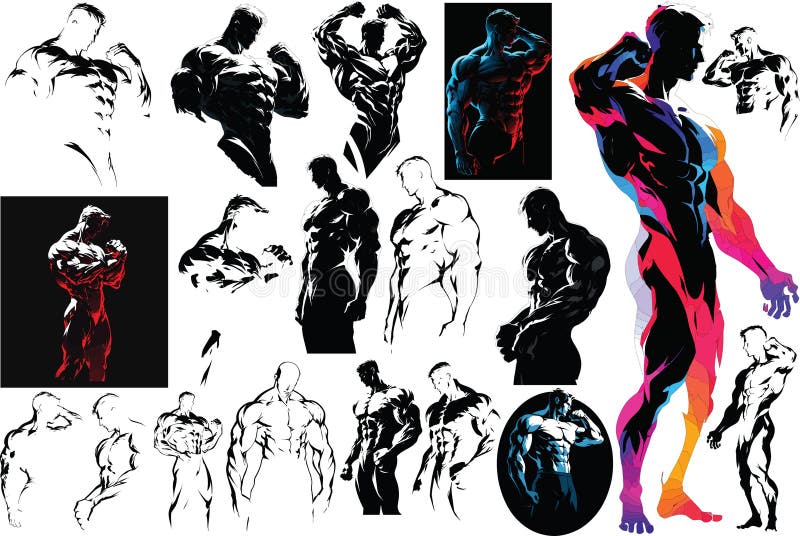 Bodybuilder Posing Silhouettes Strength and Physique Vector Collection ...