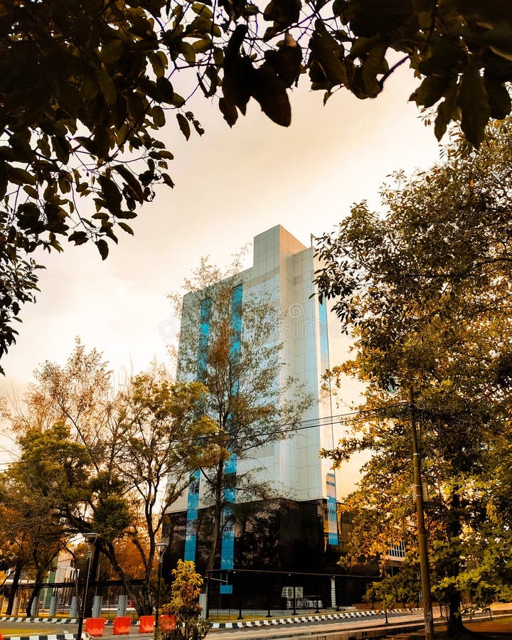 High Rise Building Golden Hours Effect Stock Photos - Free & Royalty ...