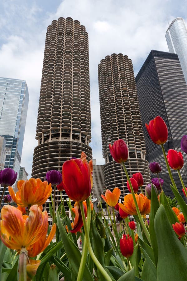 High Rise Buildings stock image. Image of building, downtown - 19646609