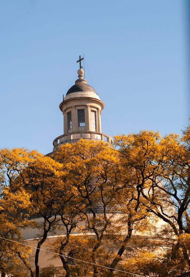 High-rise Church with a Clock Tower Surrounded by a Tree on a Blue Sky ...