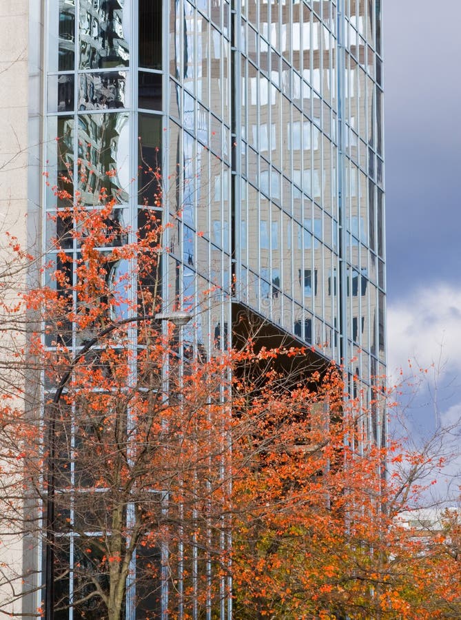 9,925 Trees High Rise Building Stock Photos - Free & Royalty-Free Stock ...