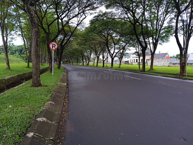 The High Road after Raining Stock Image - Image of lawn, leaf: 269193985