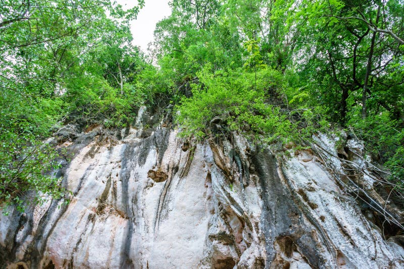 High rocky cliff in forest stock photo. Image of natural - 76229494