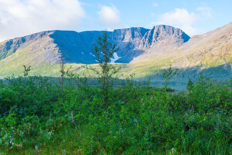High Rocky Mountain with Deciduous Forest at the Foot. Stock Photo ...
