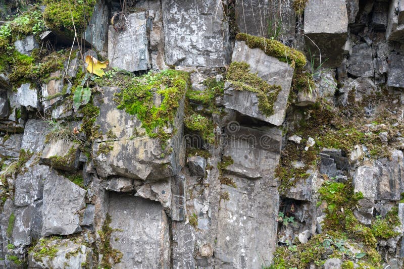 High stone wall with moss stock image. Image of rock - 275614189