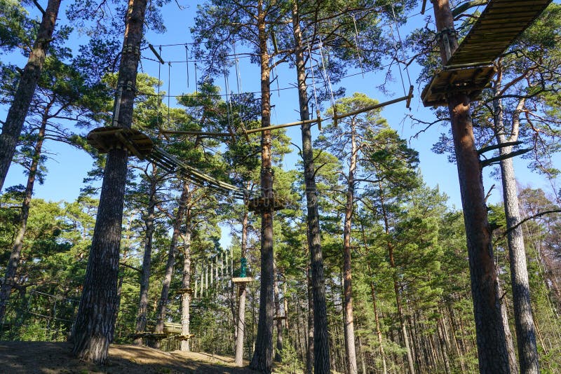 High Rope Bridge in a Pine Forest, Part of a Ropes Course Stock Image ...