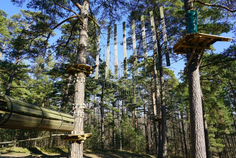 High Rope Bridge in a Pine Forest, Part of a Ropes Course Stock Image ...