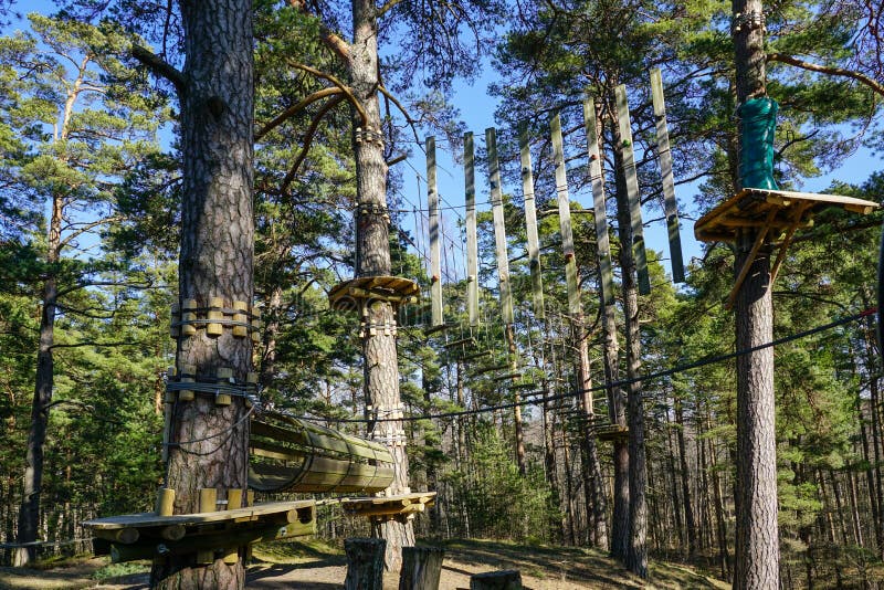 High Rope Bridge in a Pine Forest, Part of a Ropes Course Stock Image ...