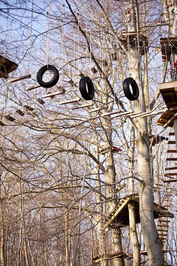High ropes course stock image. Image of trees, playground - 37707913