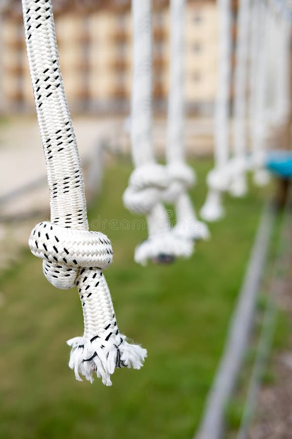 High Ropes Course Obstacle in an Adventure Park Stock Image - Image of ...