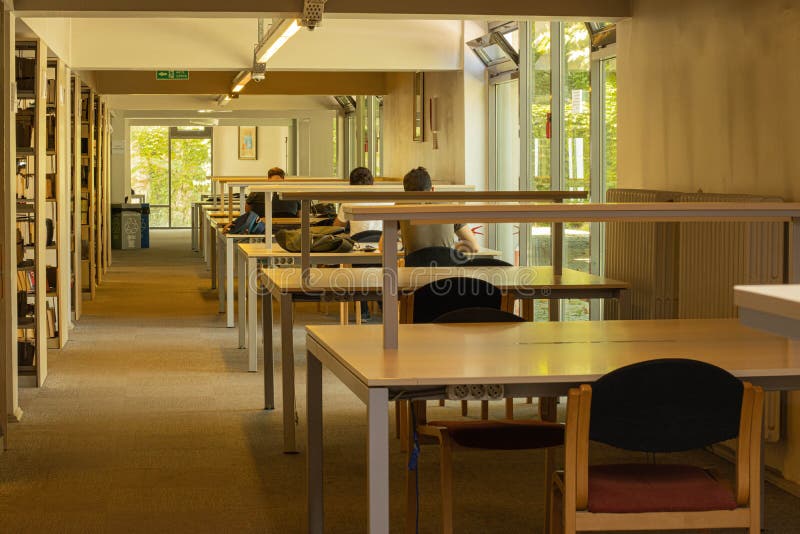 High School or College Students Study and Read Together in Library ...