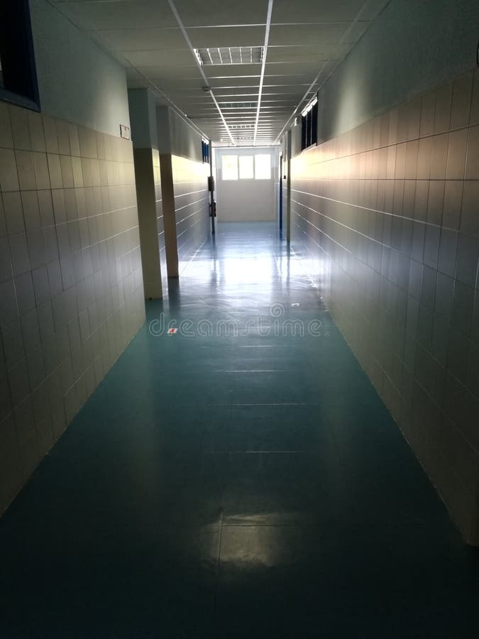 Light in the Hall of the Institute. Vertical Stock Photo - Image of ...