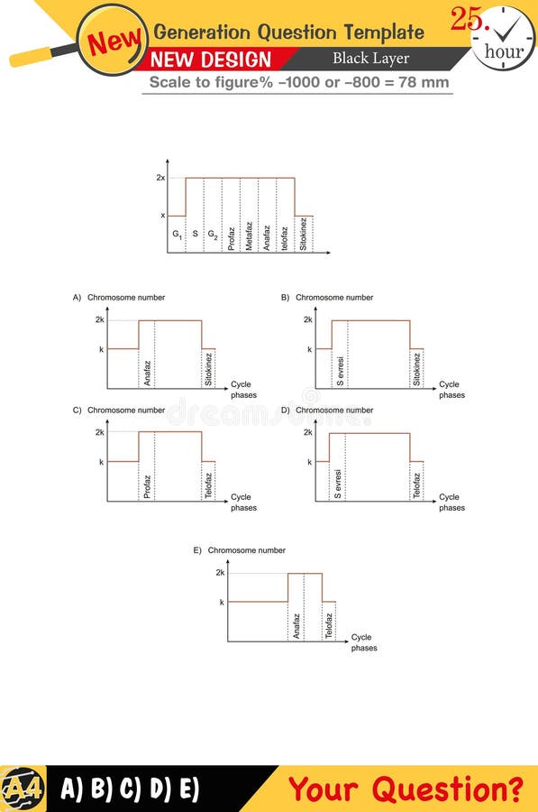 High School, Middle School, Exam Question Template, Numerical Lessons ...