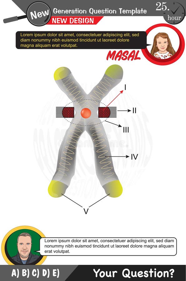 High School, Middle School, Exam Question Template, Numerical Lessons ...