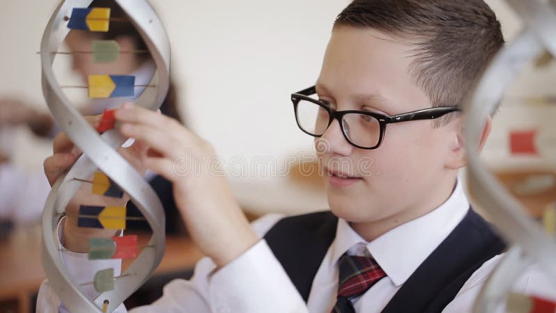High School Students Study the Structure of the DNA Molecule in the ...