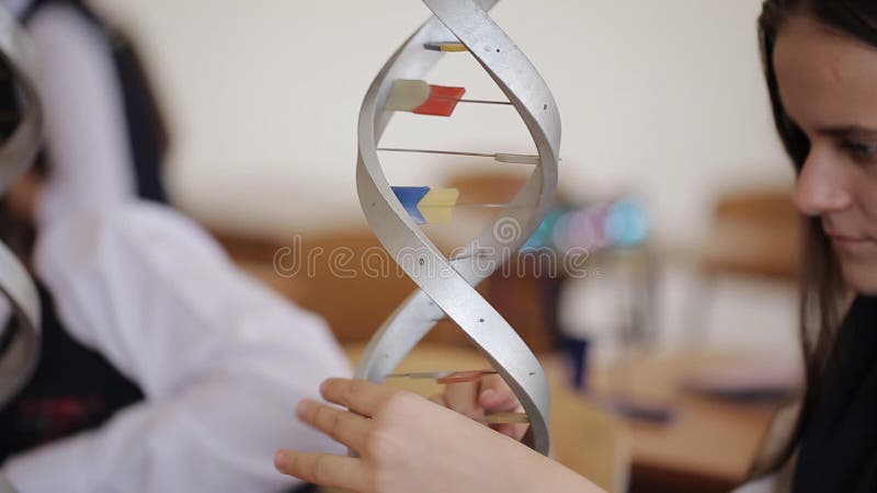 High School Students Study the Structure of the DNA Molecule in the ...
