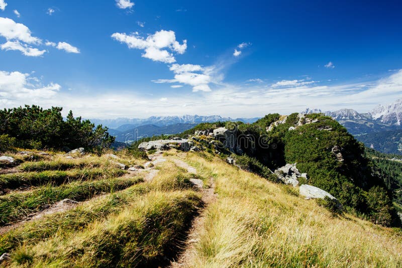 High Shot of a Mountain Field Full of Grass and Trees Stock Image ...