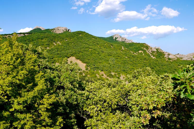 High Slopes Covered with Grass on the Blue Sky Background Stock Photo ...