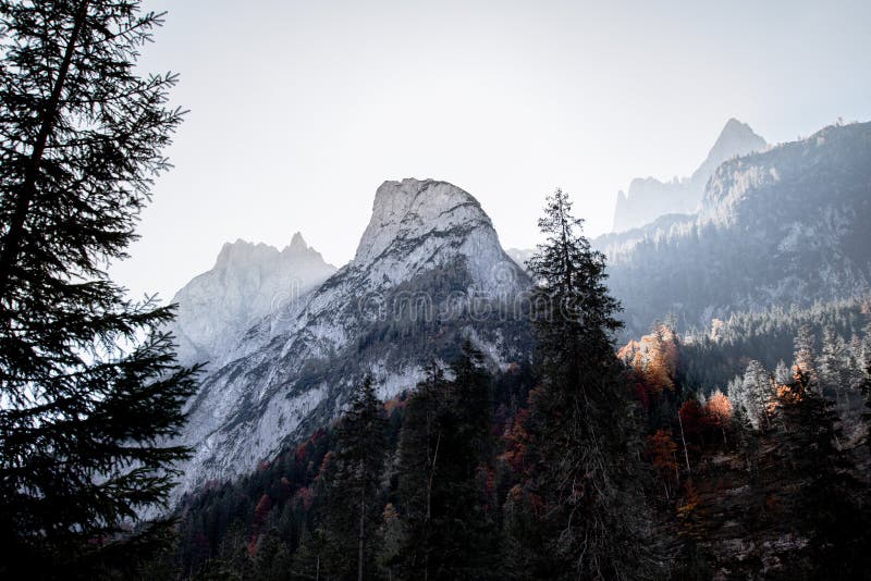 High Snowy Mountains and Forest Stock Image - Image of geography ...