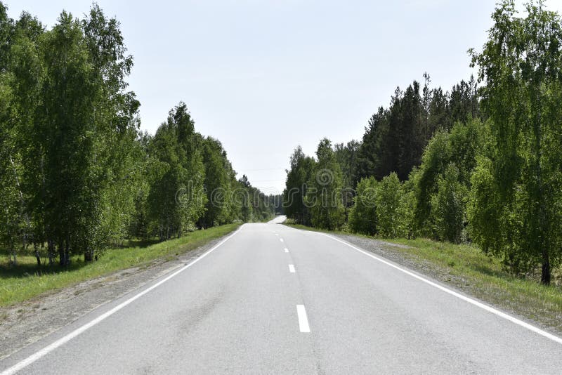 High Speed Asphalt Road Highway in the Afternoon in the Forest Stock ...