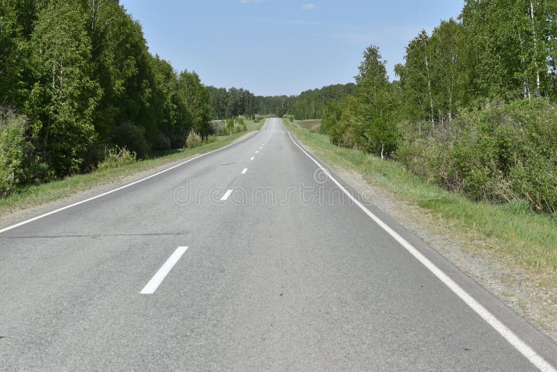 High Speed Asphalt Road Highway in the Afternoon in the Forest Stock ...