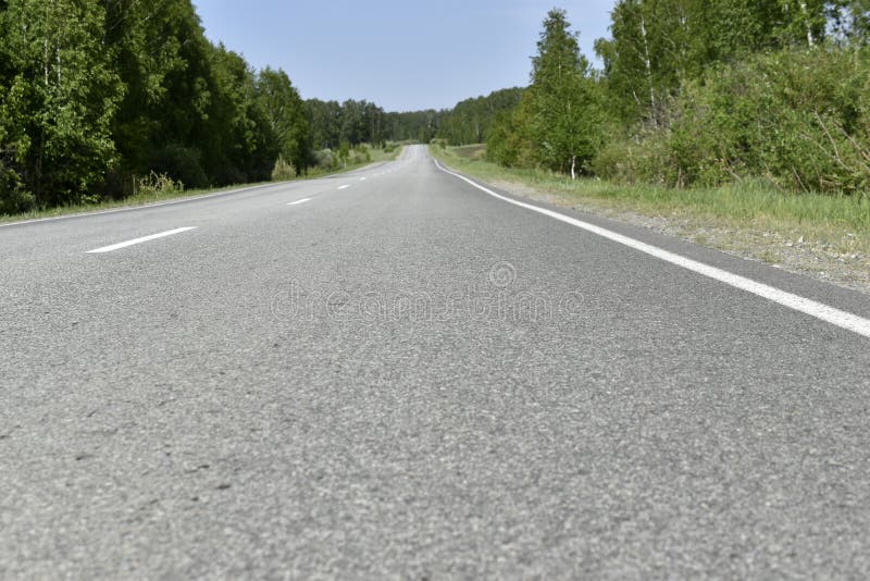 High Speed Asphalt Road Highway in the Afternoon in the Forest Stock ...