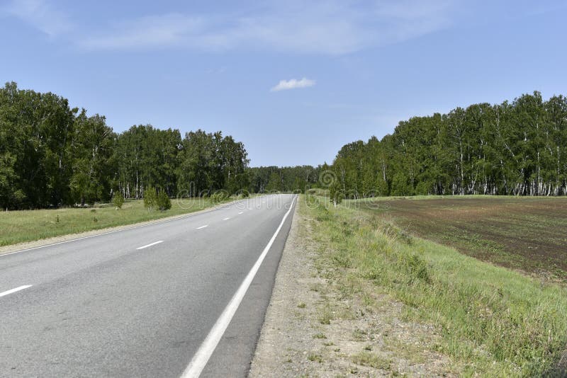 High Speed Asphalt Road Highway in the Afternoon in the Forest Stock ...