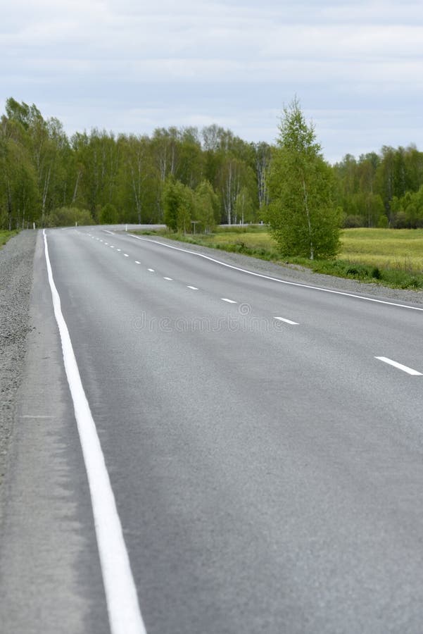 High-speed Asphalt Road in the Spring Forest. Country Road Stock Photo ...