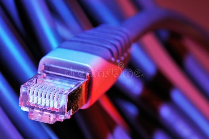 Blue Ethernet cable stock photo. Image of connection - 35849626