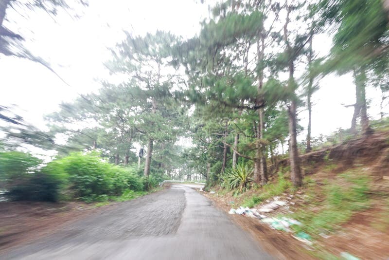 High Speed Running of Forest Road Stock Image - Image of accessibility ...