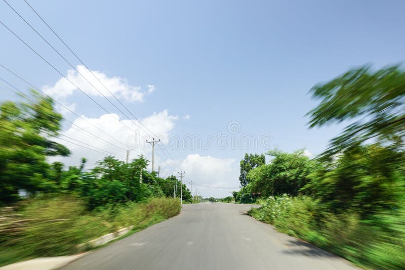 High Speed Running of Forest Road Stock Photo - Image of high, middle ...
