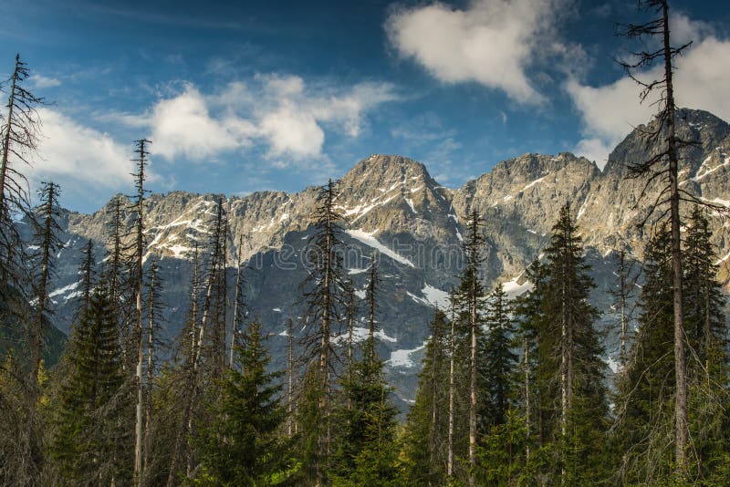 High Summit with Forest in Foreground Stock Photo - Image of summer ...