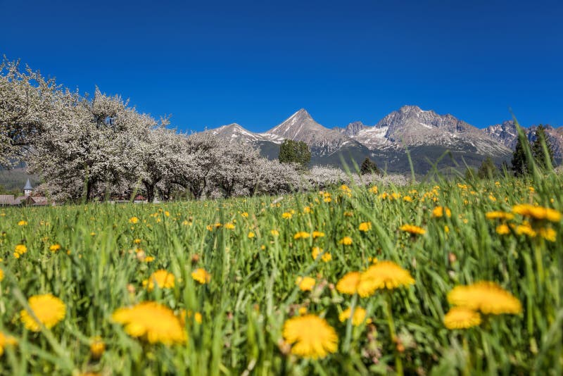 High Tatras during Spring Time in Slovakia Stock Photo - Image of green ...
