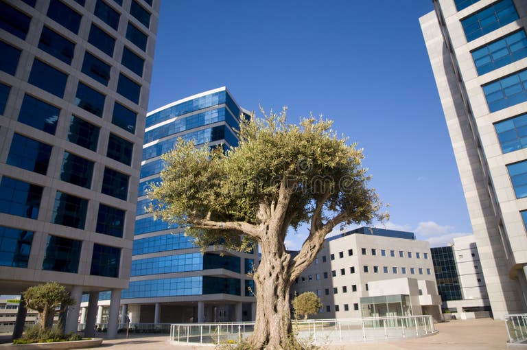 High-tech area stock image. Image of tree, area, office - 14681673